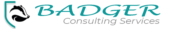 About – Badger Consulting Services